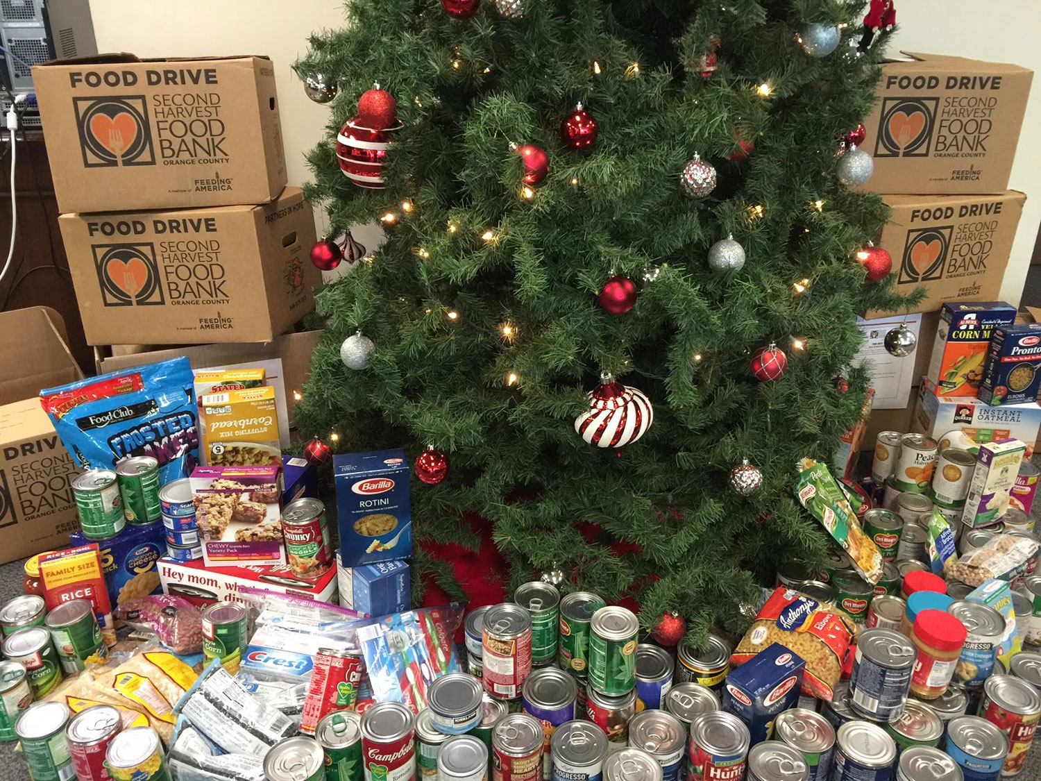 Team VIP - VIP Transport